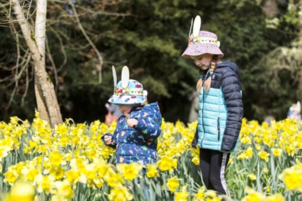 Easter adventures across the South West with the National Trust’s Easter Egg Trails | The Devon ...